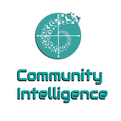Community Intelligence – The Liminal Learning Portal