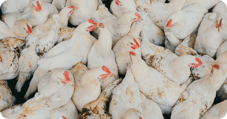 ReThinkX – The Liminal Learning Portal